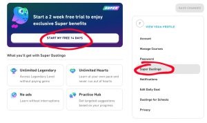 2025多邻国国际版Duolingo Super会员订阅购买教程 – VCCBUS