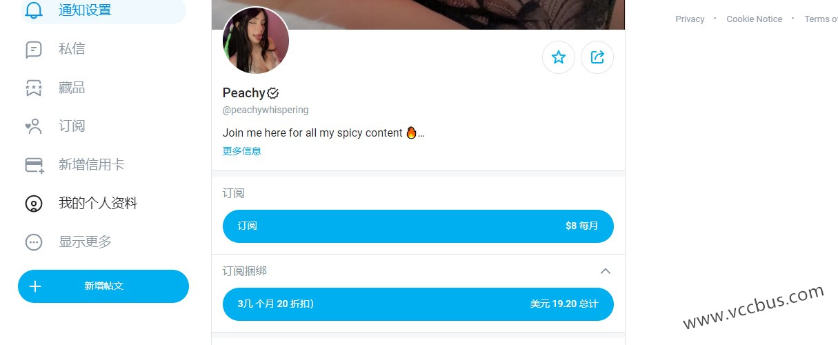 网红社媒OnlyFans如何付费订阅？虚拟信用卡来帮你！ – VCCBUS