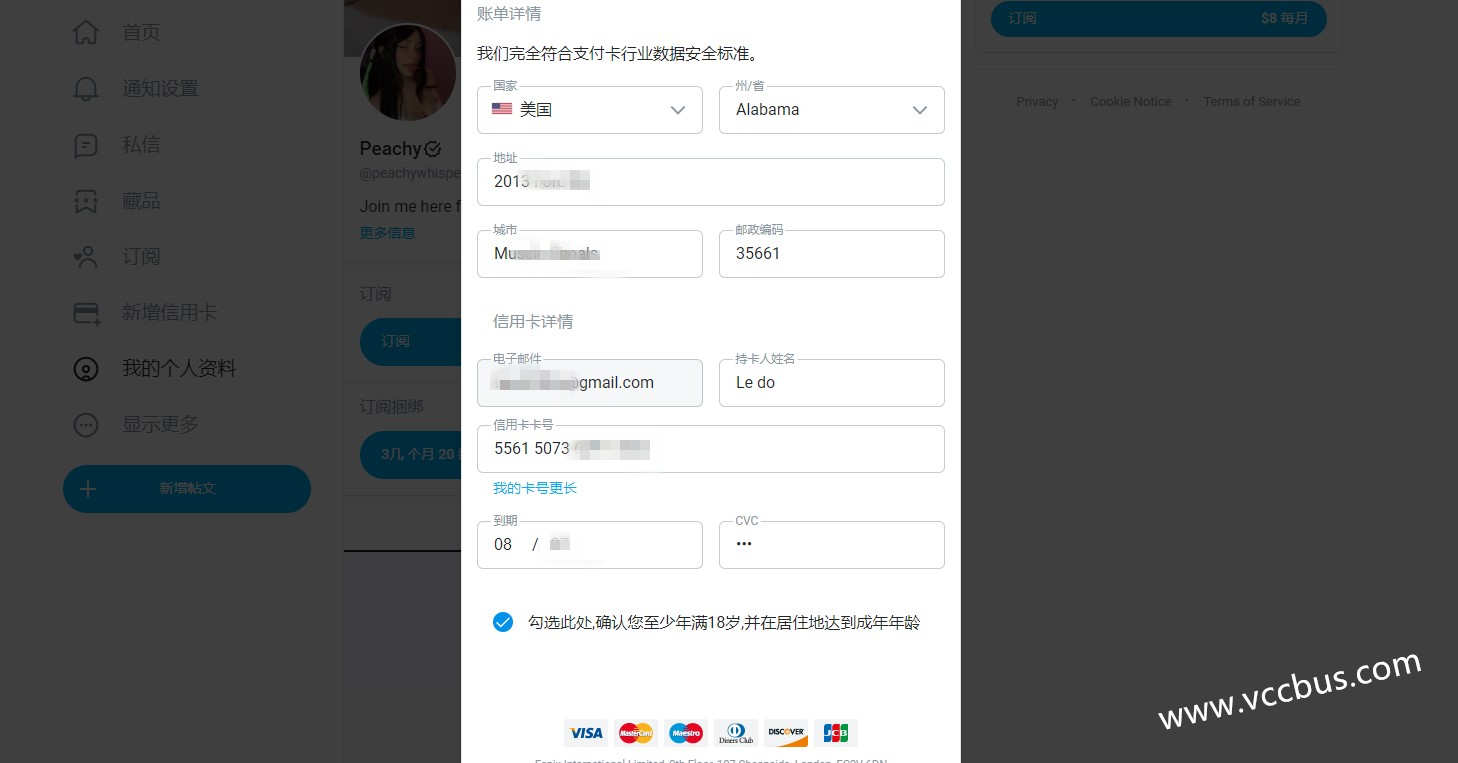 网红社媒OnlyFans如何付费订阅？虚拟信用卡来帮你！ – VCCBUS